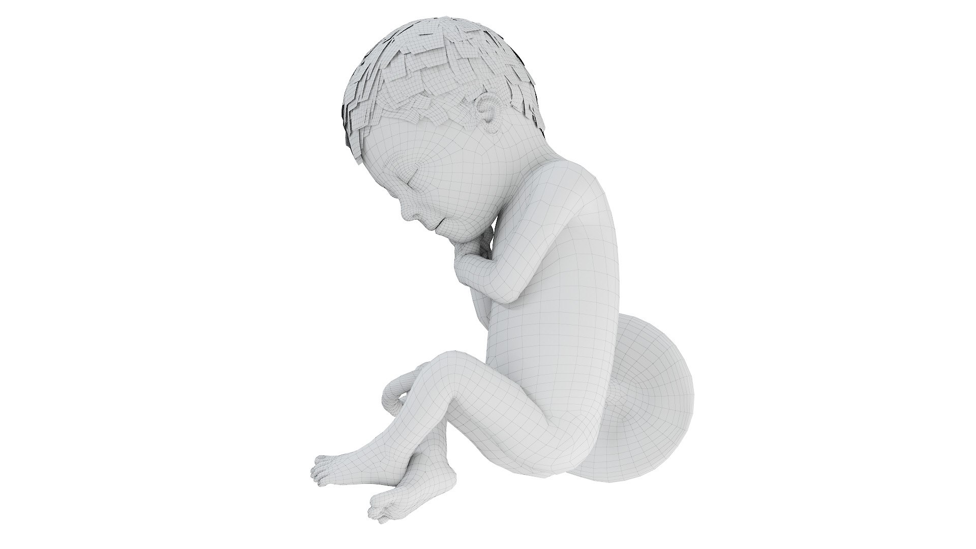 Fetus Week 24 Static 3D model - TurboSquid 1871377