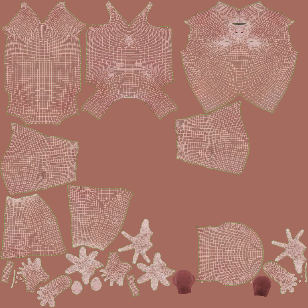 Fetus Week 24 Static 3D model - TurboSquid 1871377