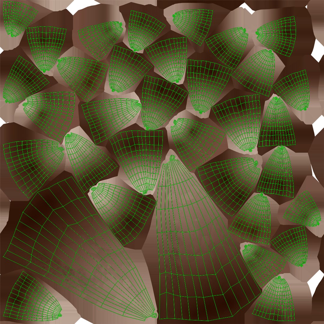 3D Mutant Spider Lady - TurboSquid 2342091