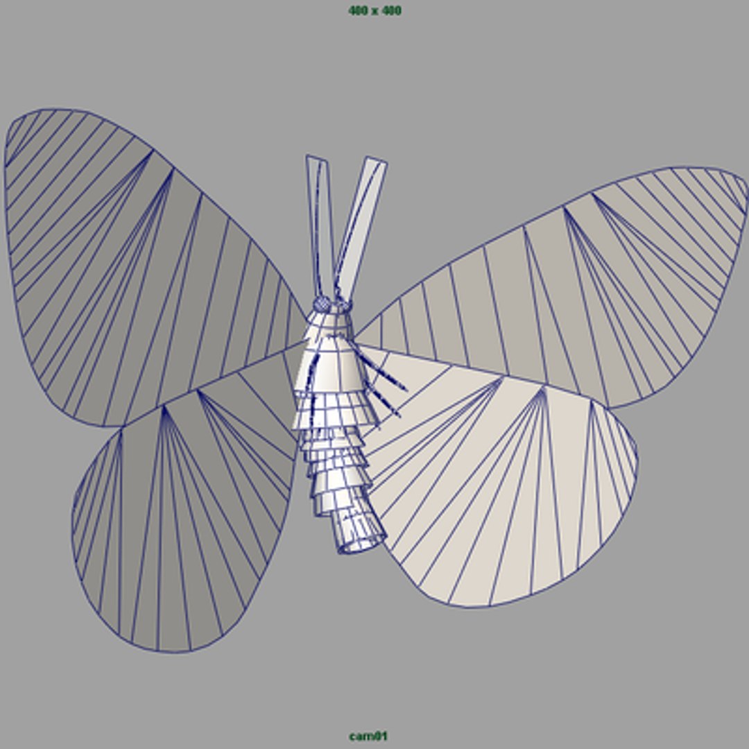 3d Model Gypsy Moth