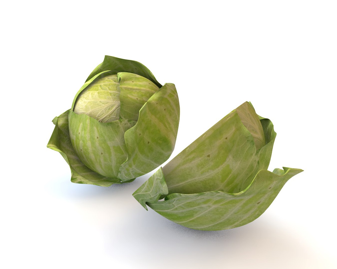 Cabbage 3D Model - TurboSquid 1544474