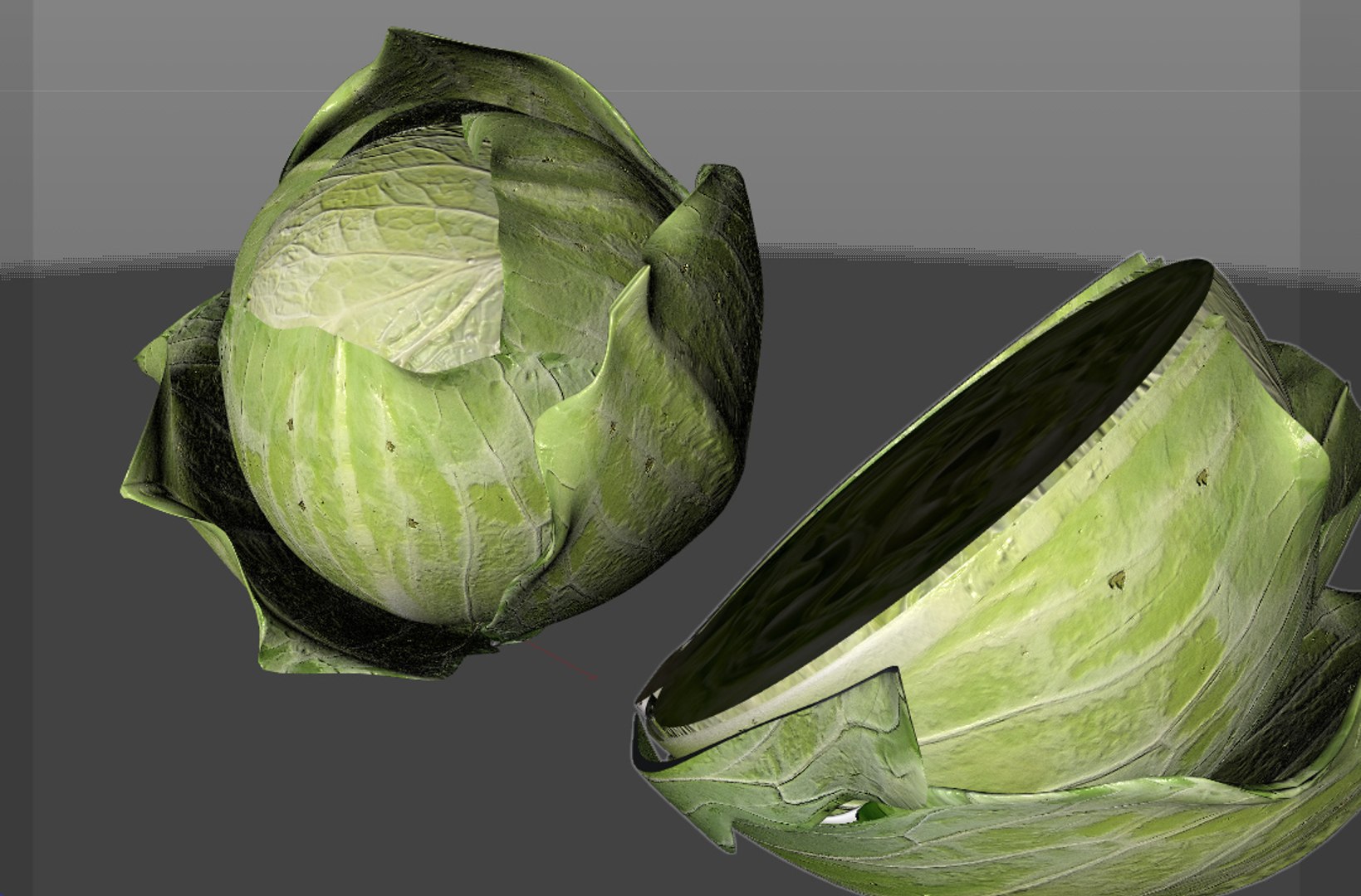 Cabbage 3D Model - TurboSquid 1544474