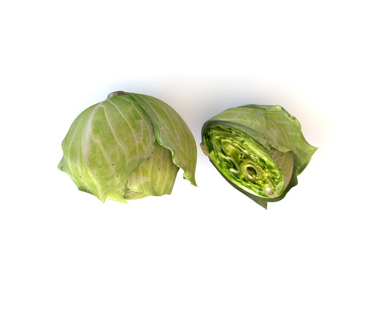 Cabbage 3D Model - TurboSquid 1544474