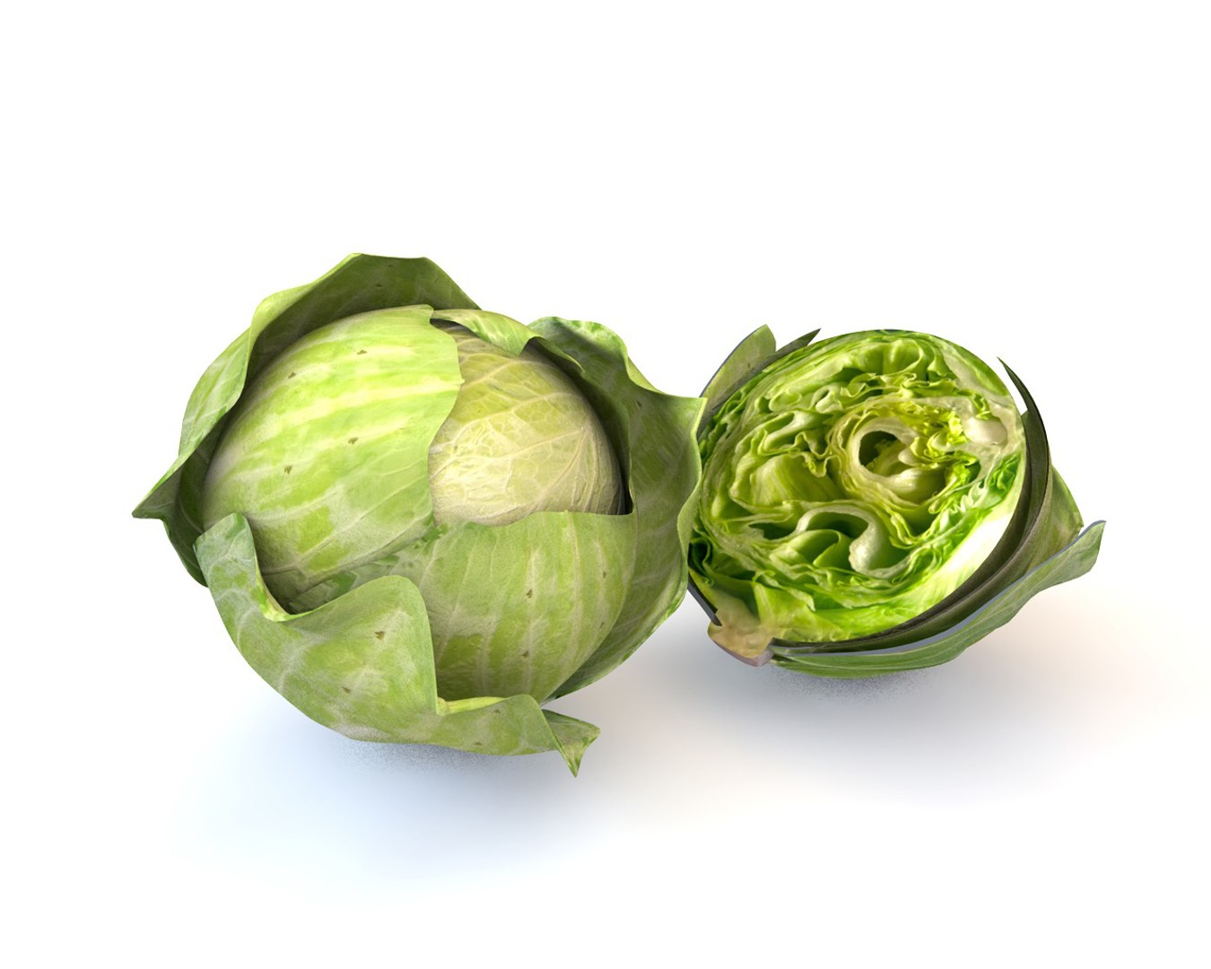 Cabbage 3D Model - TurboSquid 1544474