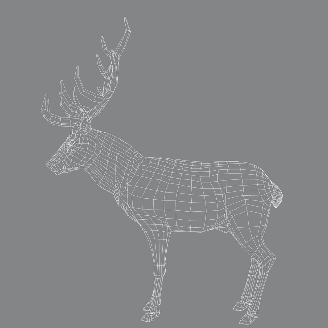 Deer Stag 3d Model