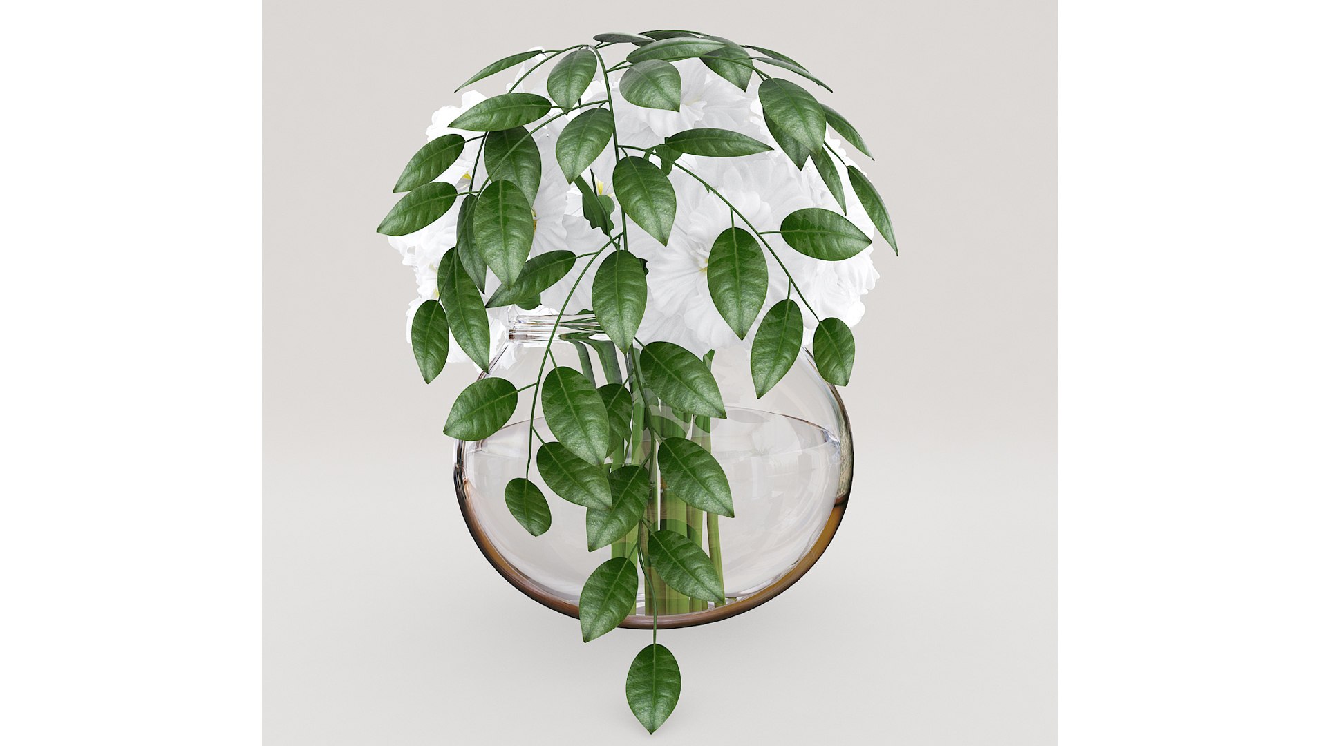 3D White Irises Model - TurboSquid 1944358