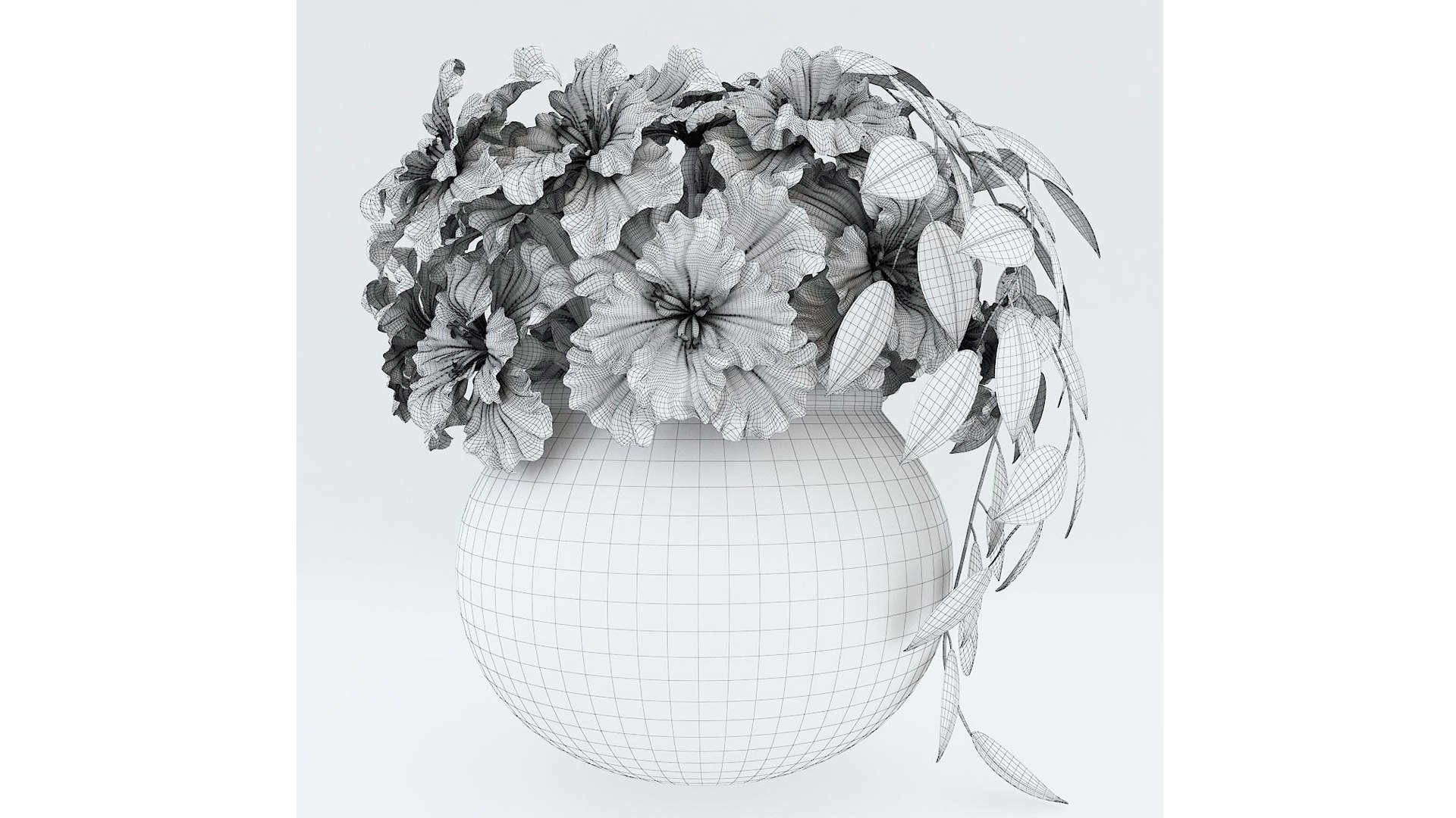 3D White Irises Model - TurboSquid 1944358