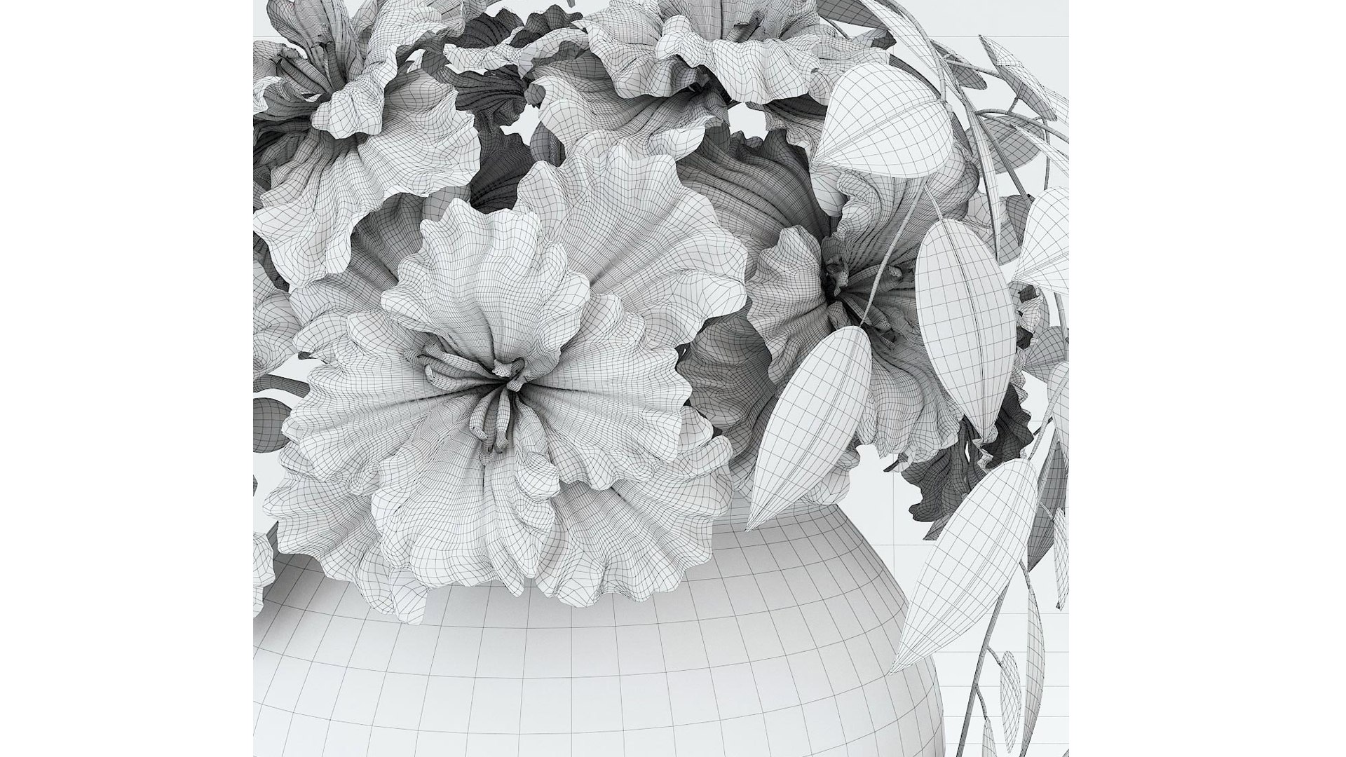 3D White Irises Model - TurboSquid 1944358