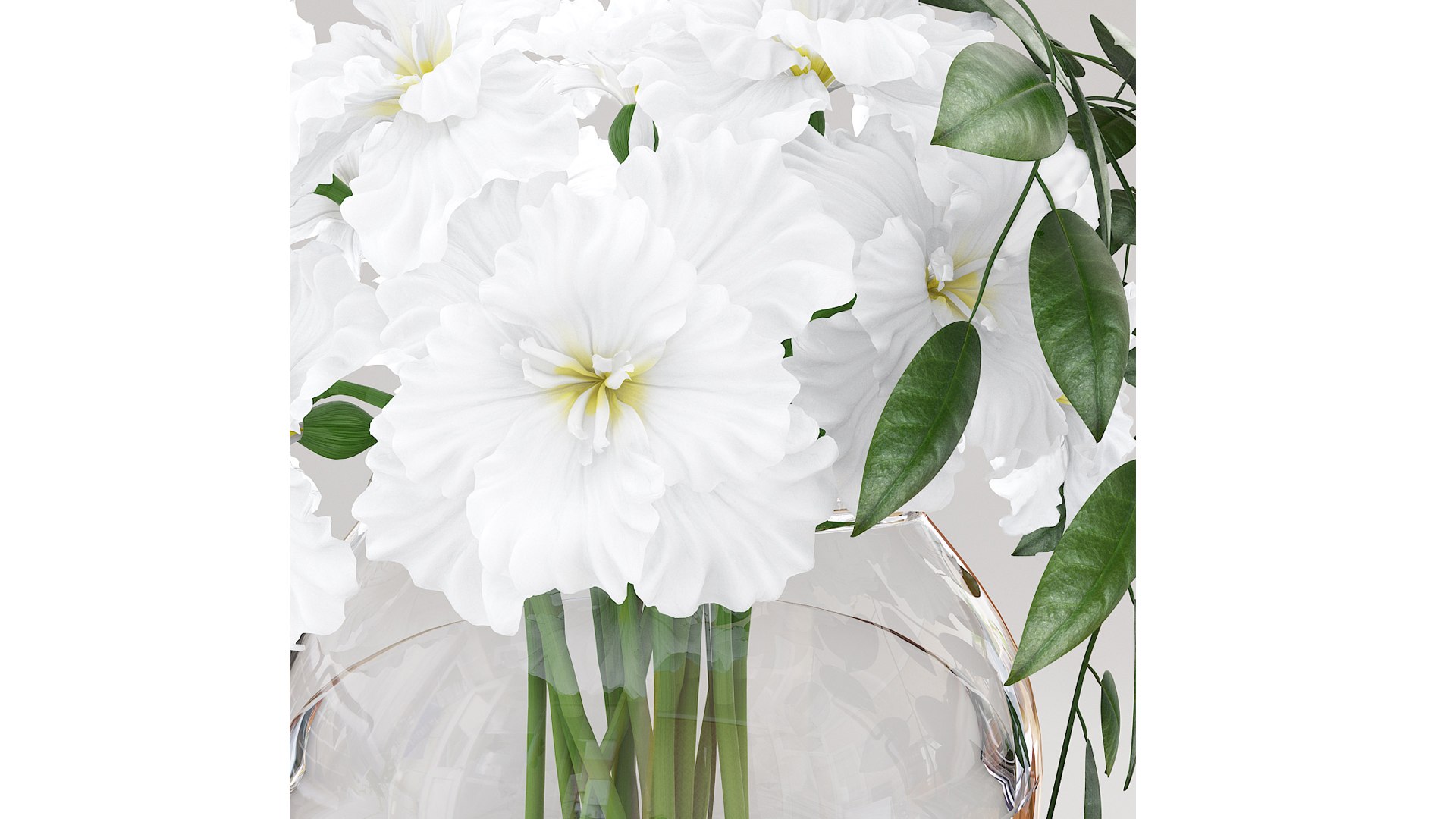 3D White Irises Model - TurboSquid 1944358