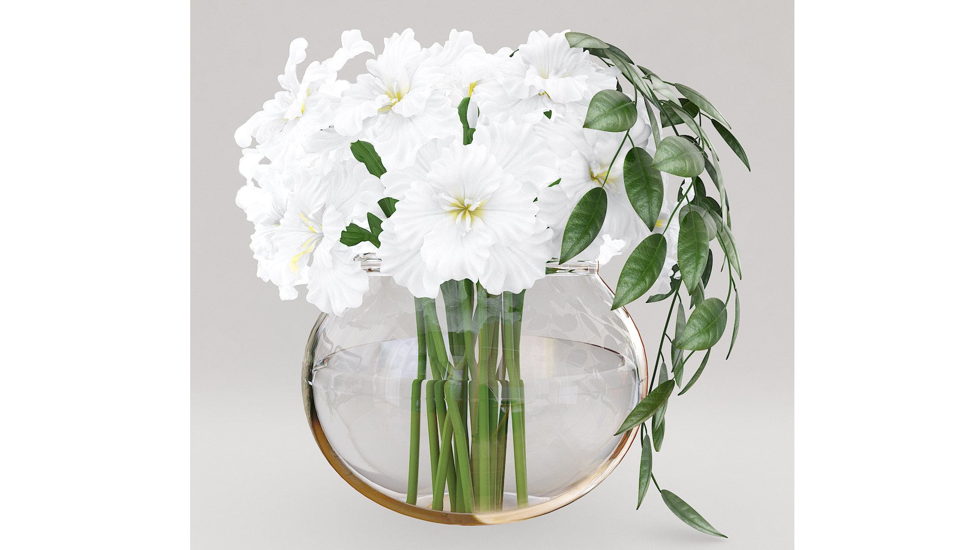 3D White Irises Model - TurboSquid 1944358