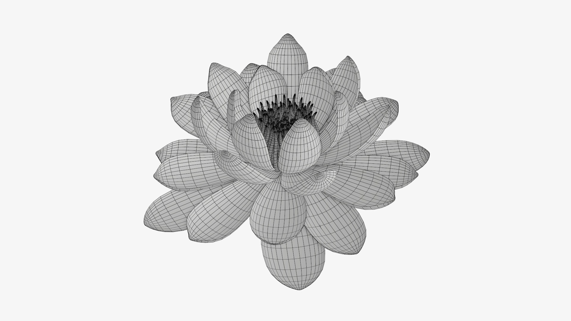 3D Lily Flower Water - TurboSquid 1698714