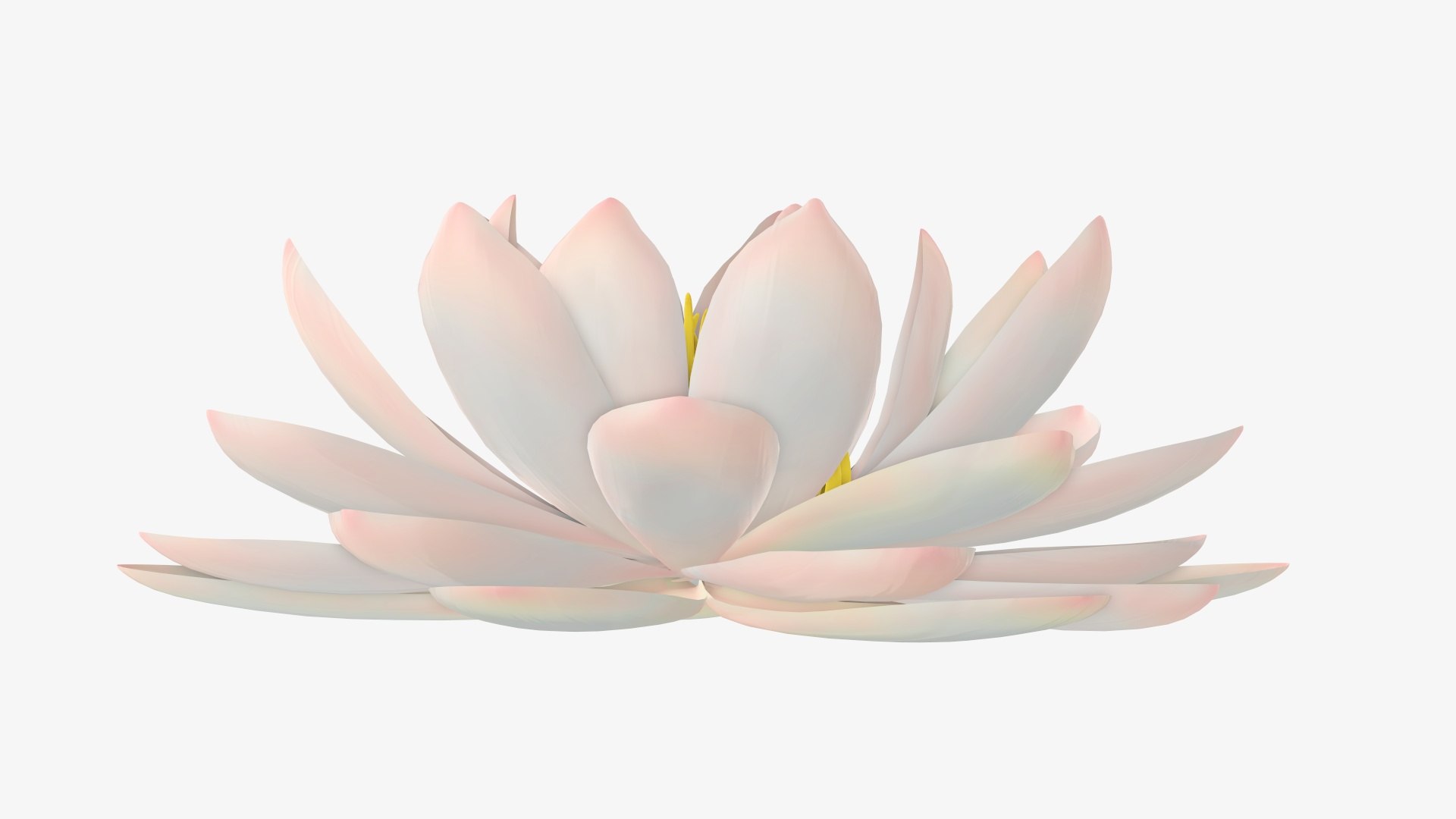 3D Lily Flower Water - TurboSquid 1698714