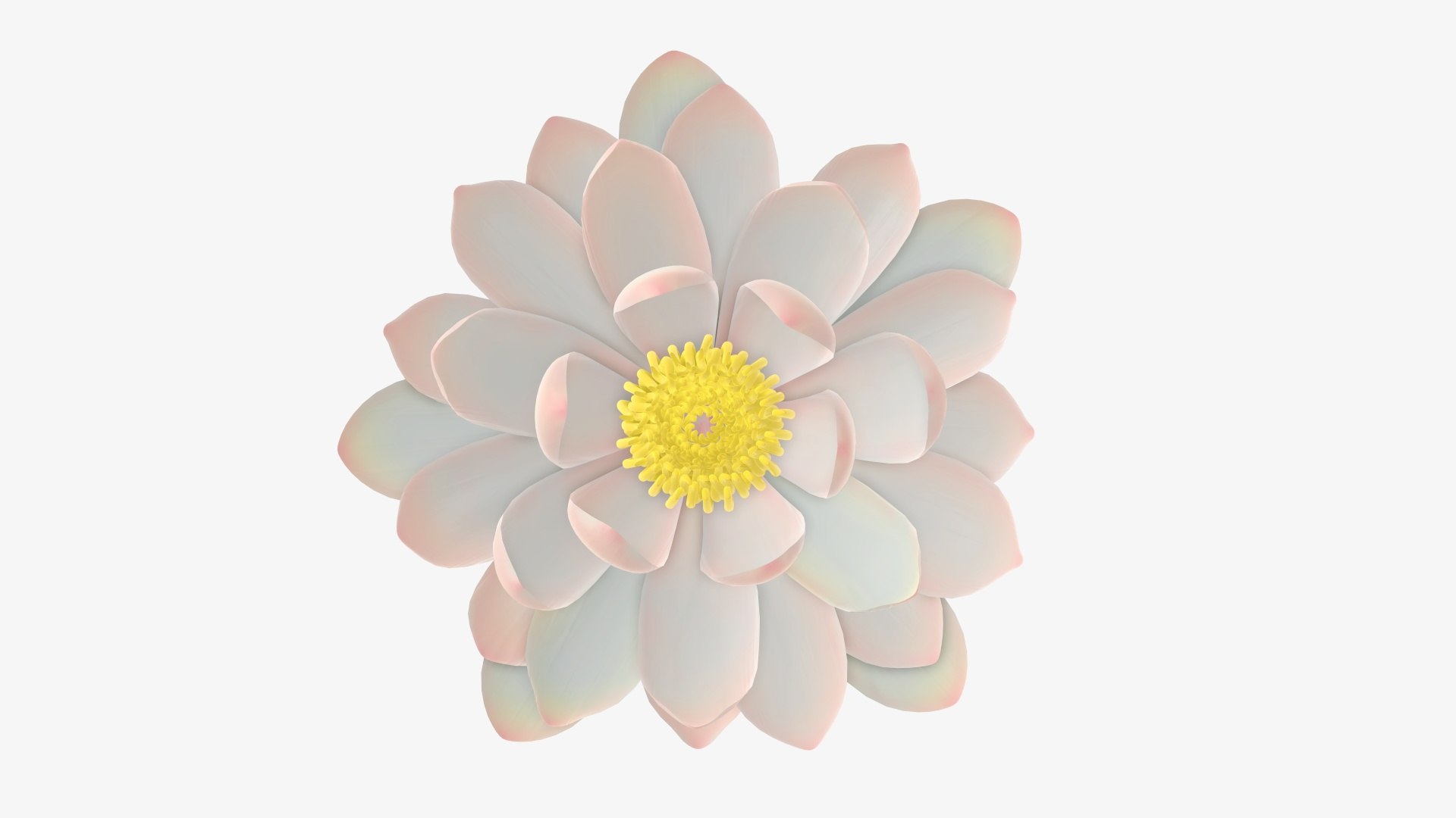 3D Lily Flower Water - TurboSquid 1698714