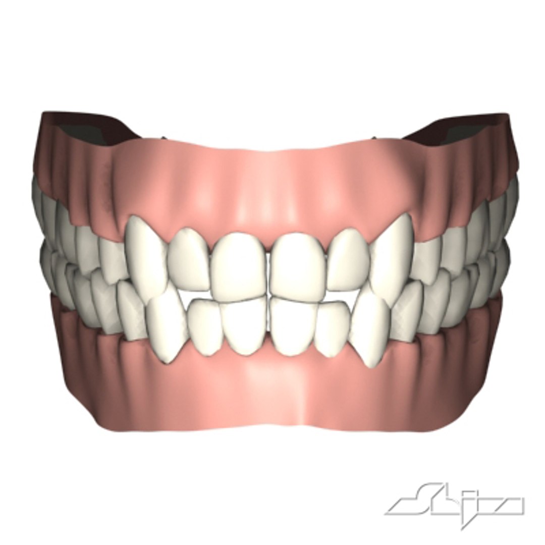 Teeth Obj