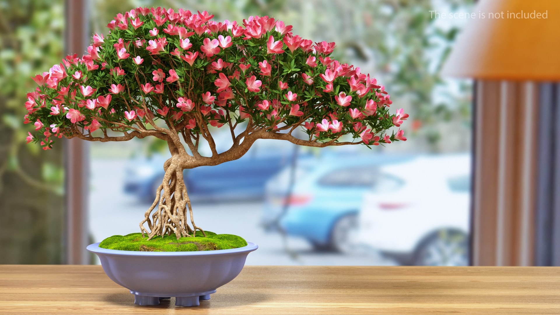 Miniature Bonsai Tree With Flowers In Pot Fur 3D Model - TurboSquid 1784018