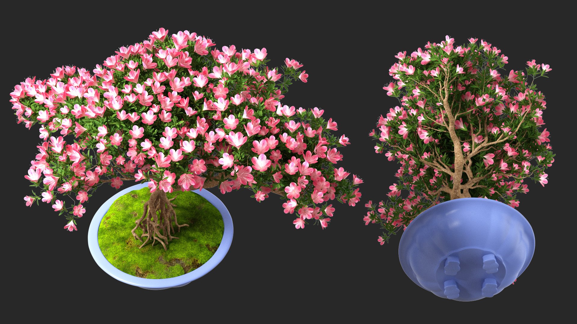 Miniature Bonsai Tree With Flowers In Pot Fur 3D Model - TurboSquid 1784018