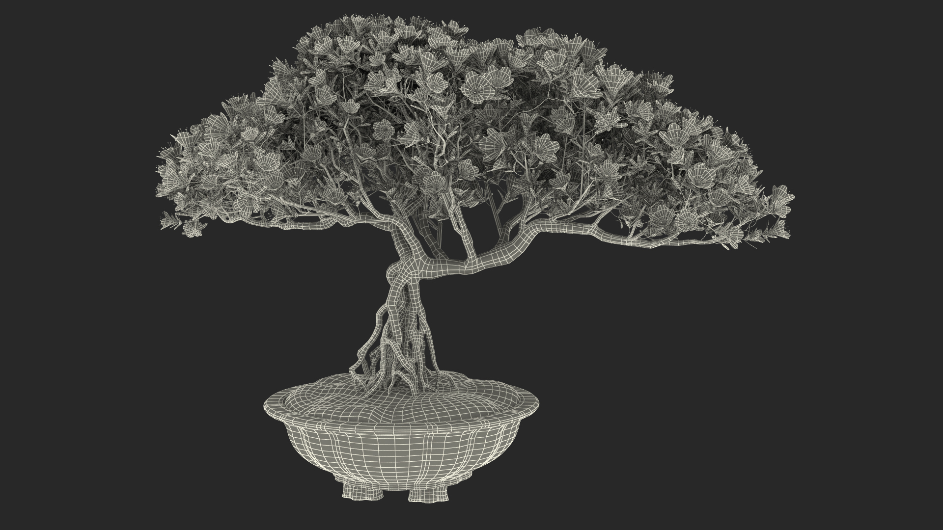 Miniature Bonsai Tree With Flowers In Pot Fur 3D Model - TurboSquid 1784018