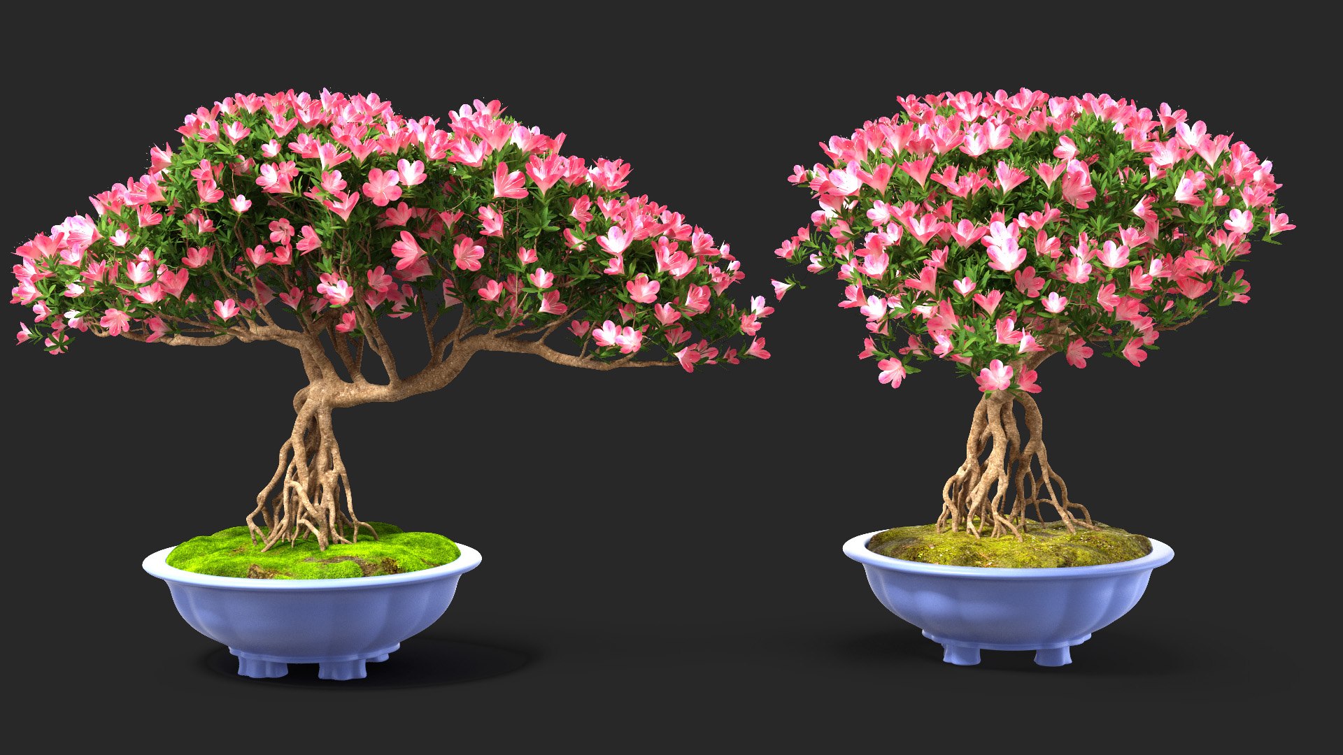 Miniature Bonsai Tree With Flowers In Pot Fur 3D Model - TurboSquid 1784018