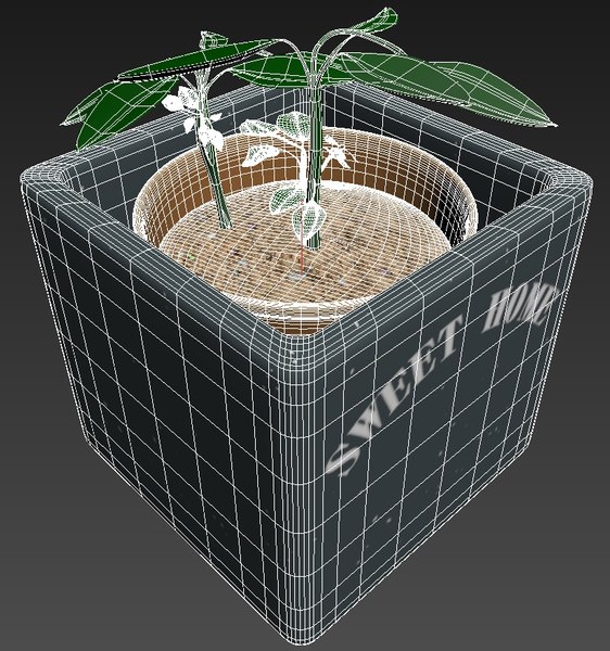 Plant pot 3D model - TurboSquid 1250476