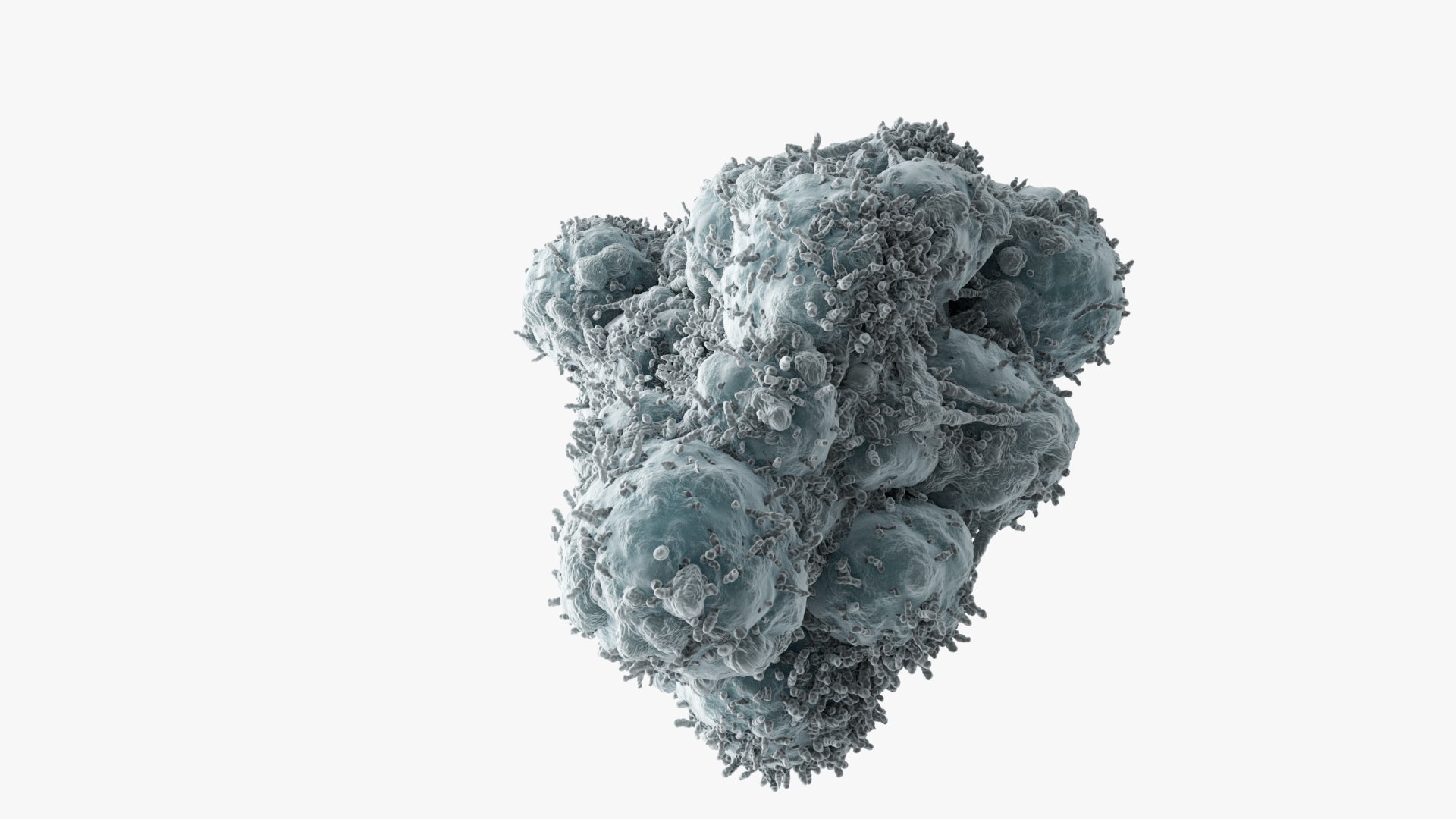3D Cells 12 - TurboSquid 2225008