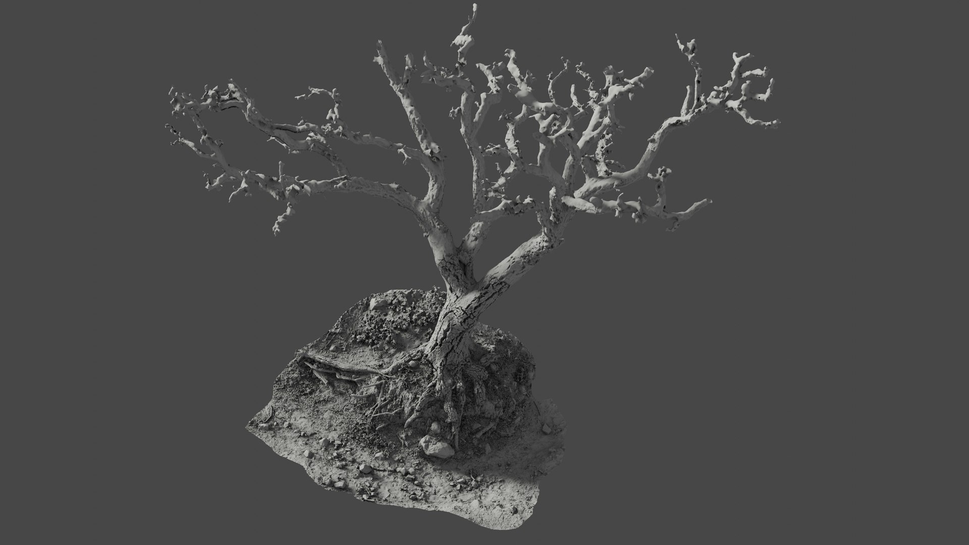 Oakpine 3D - TurboSquid 2068837