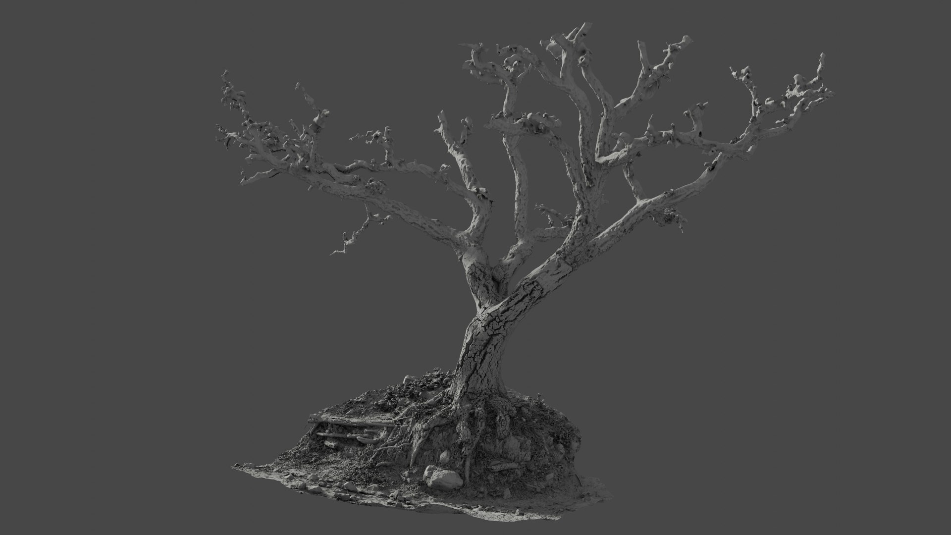 Oakpine 3D - TurboSquid 2068837