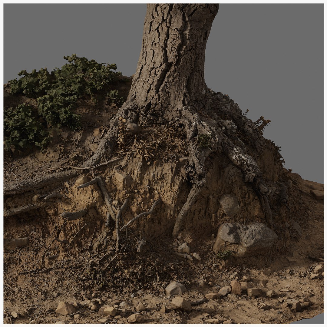 Oakpine 3D - TurboSquid 2068837