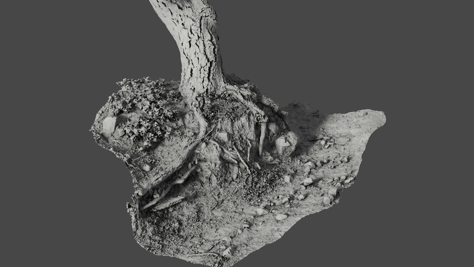 Oakpine 3D - TurboSquid 2068837