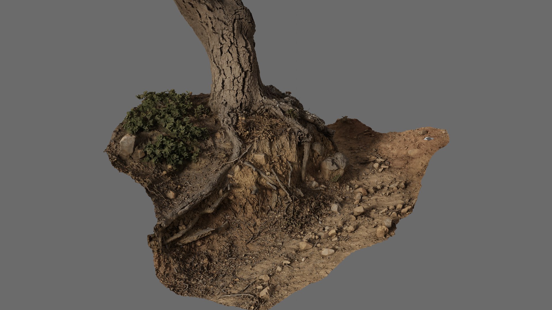 Oakpine 3D - TurboSquid 2068837