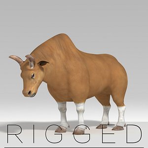 3D Bull Models - Browse & Download Formats - TurboSquid