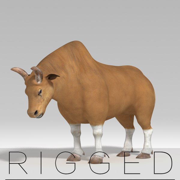 Bull 3D Models for Download | TurboSquid