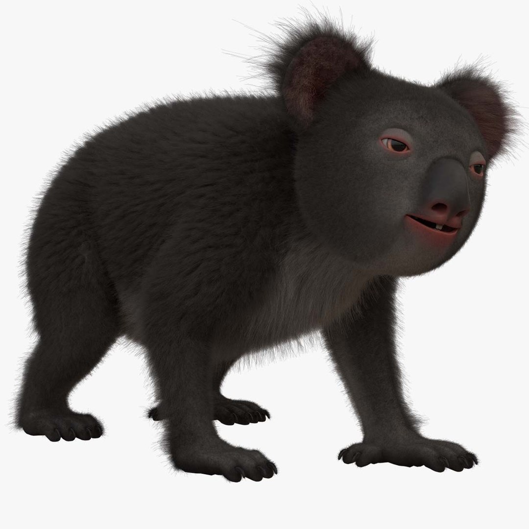 3D model Koala ANIMATED - TurboSquid 1986547