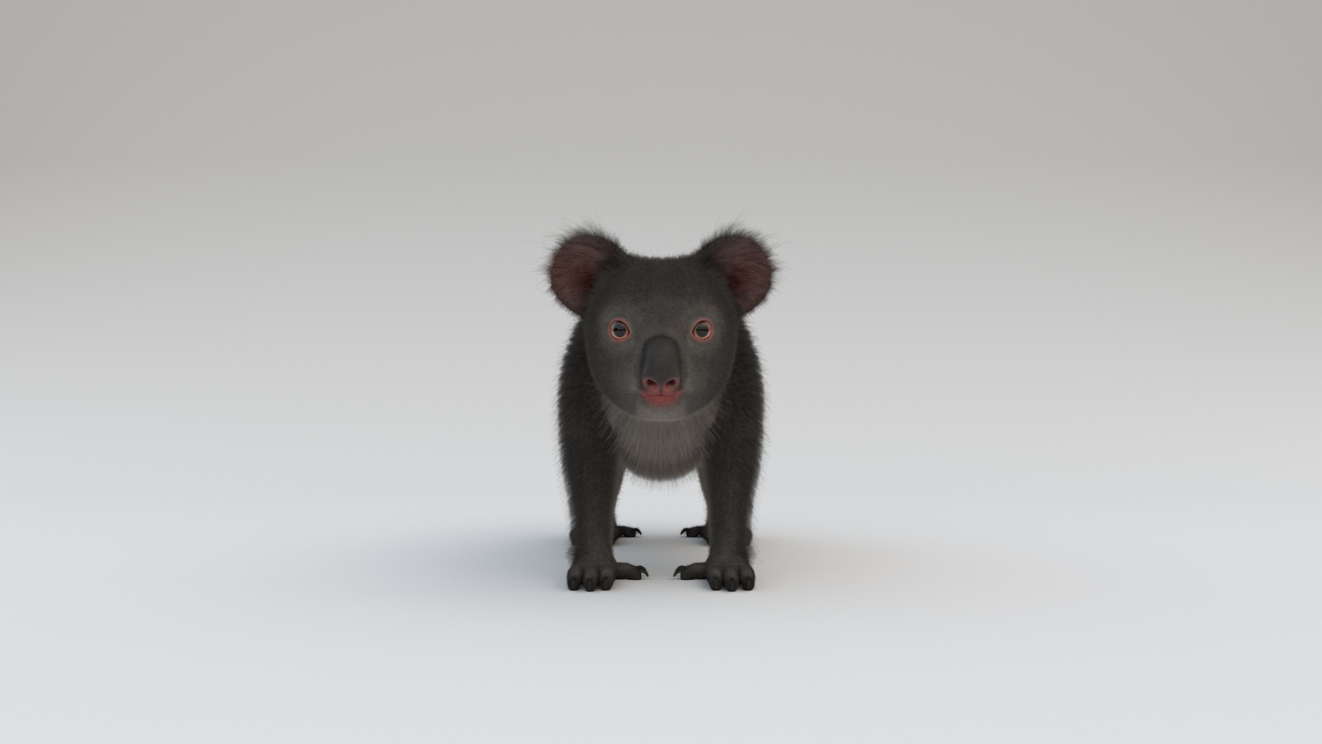 3D Model Koala ANIMATED - TurboSquid 1986547