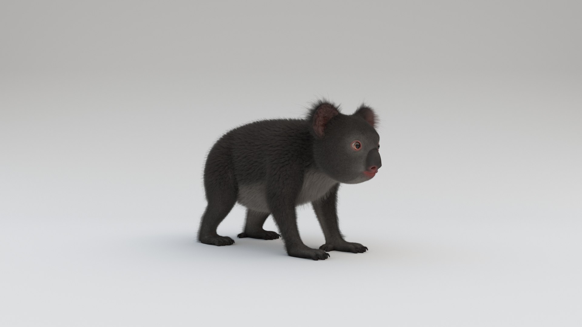 3D Model Koala ANIMATED - TurboSquid 1986547