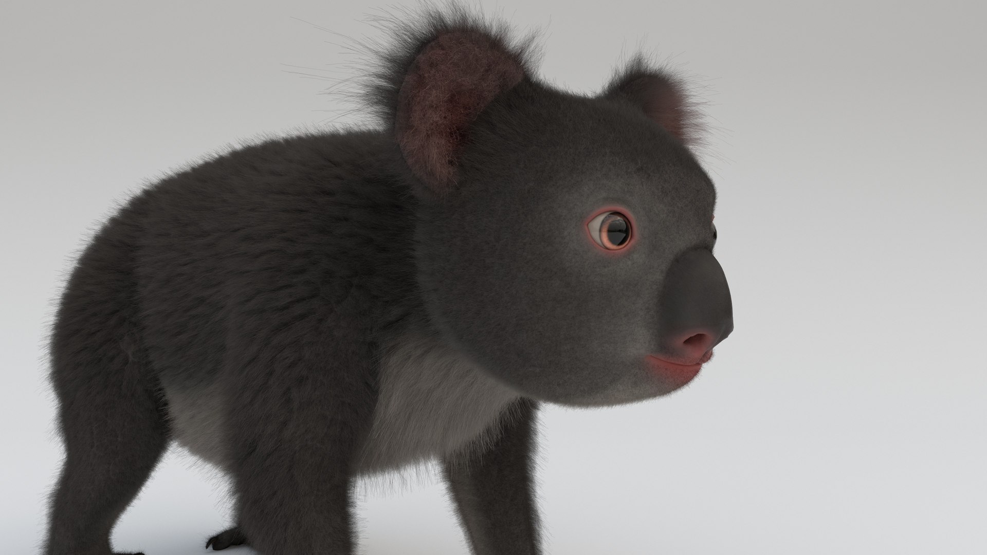 3D Model Koala ANIMATED - TurboSquid 1986547