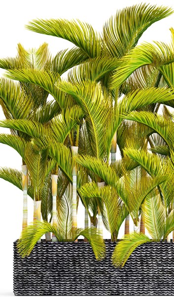 Tropical plants 3D model - TurboSquid 1210271