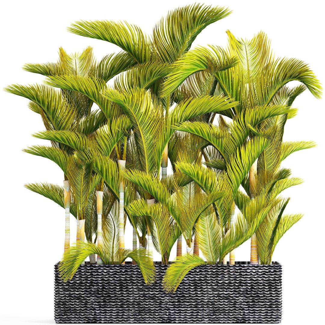 Tropical plants 3D model - TurboSquid 1210271