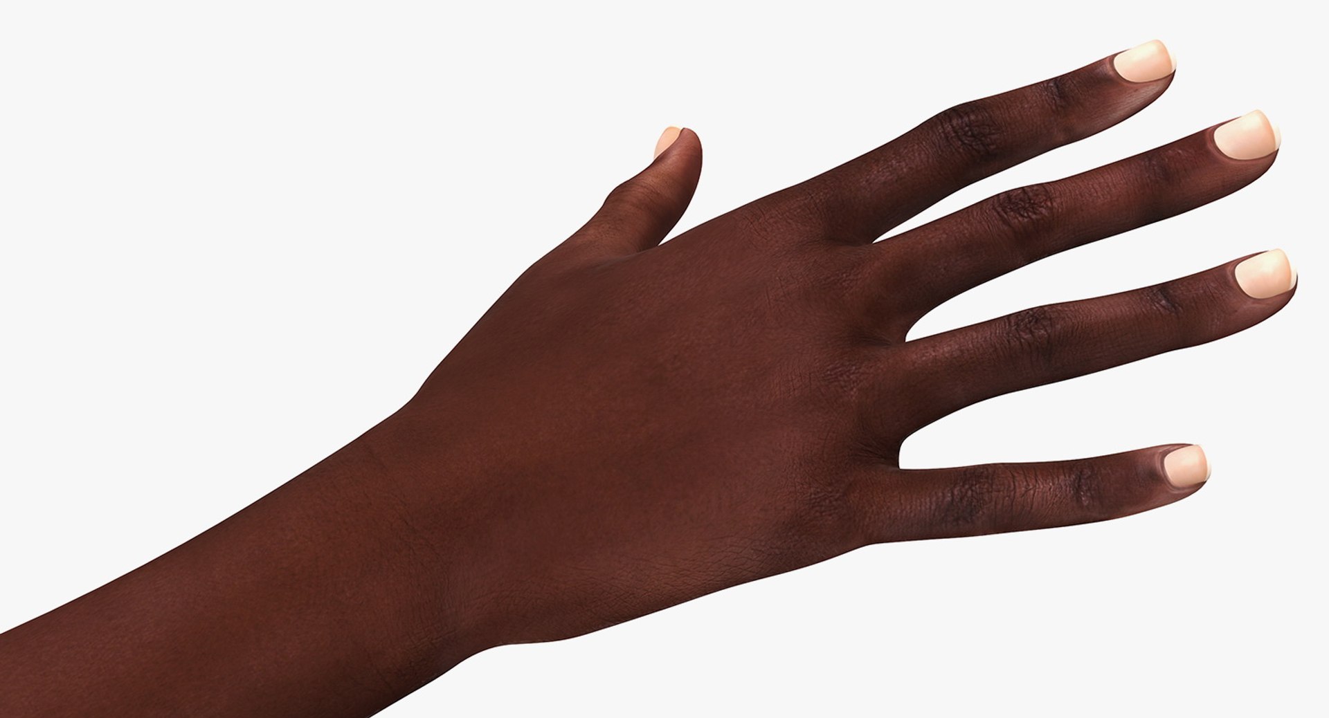3D African Female Hand Model - TurboSquid 1393888