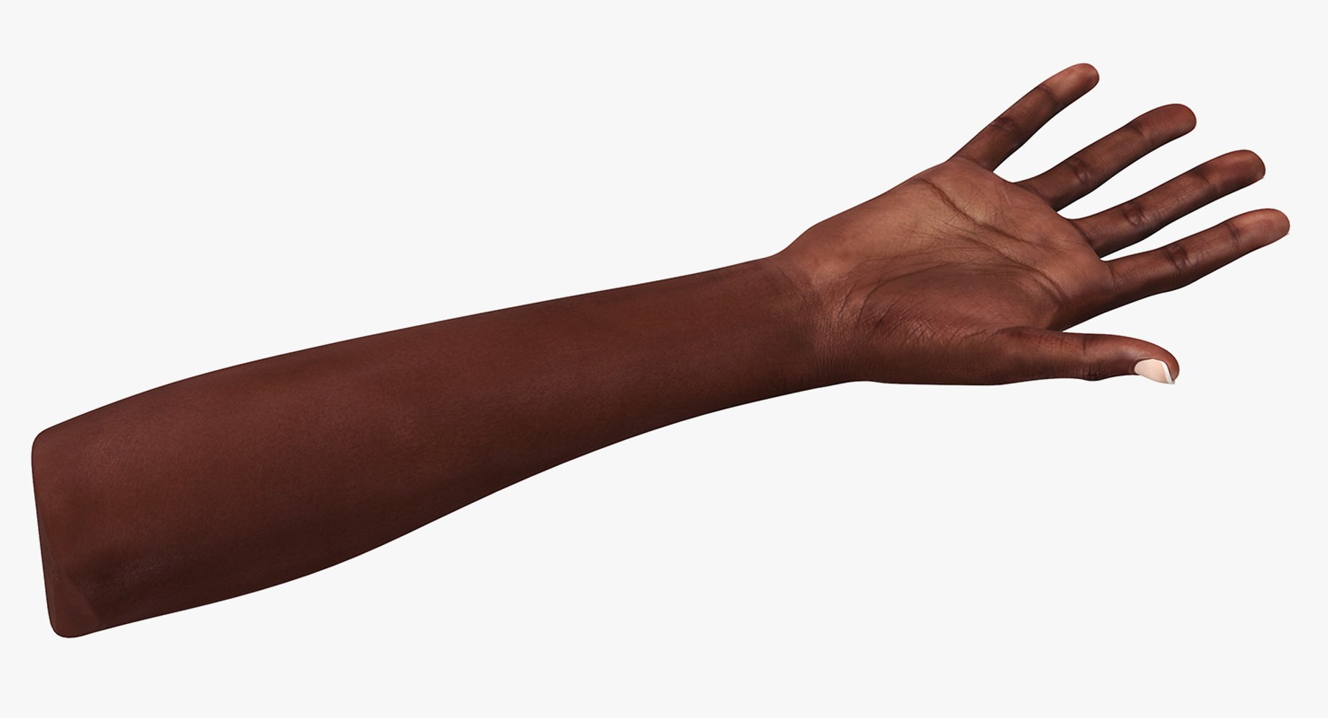 3D African Female Hand Model - TurboSquid 1393888