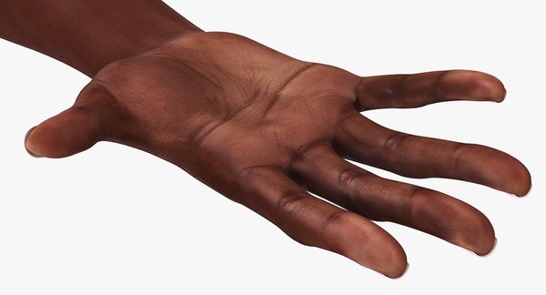 3D african female hand model - TurboSquid 1393888