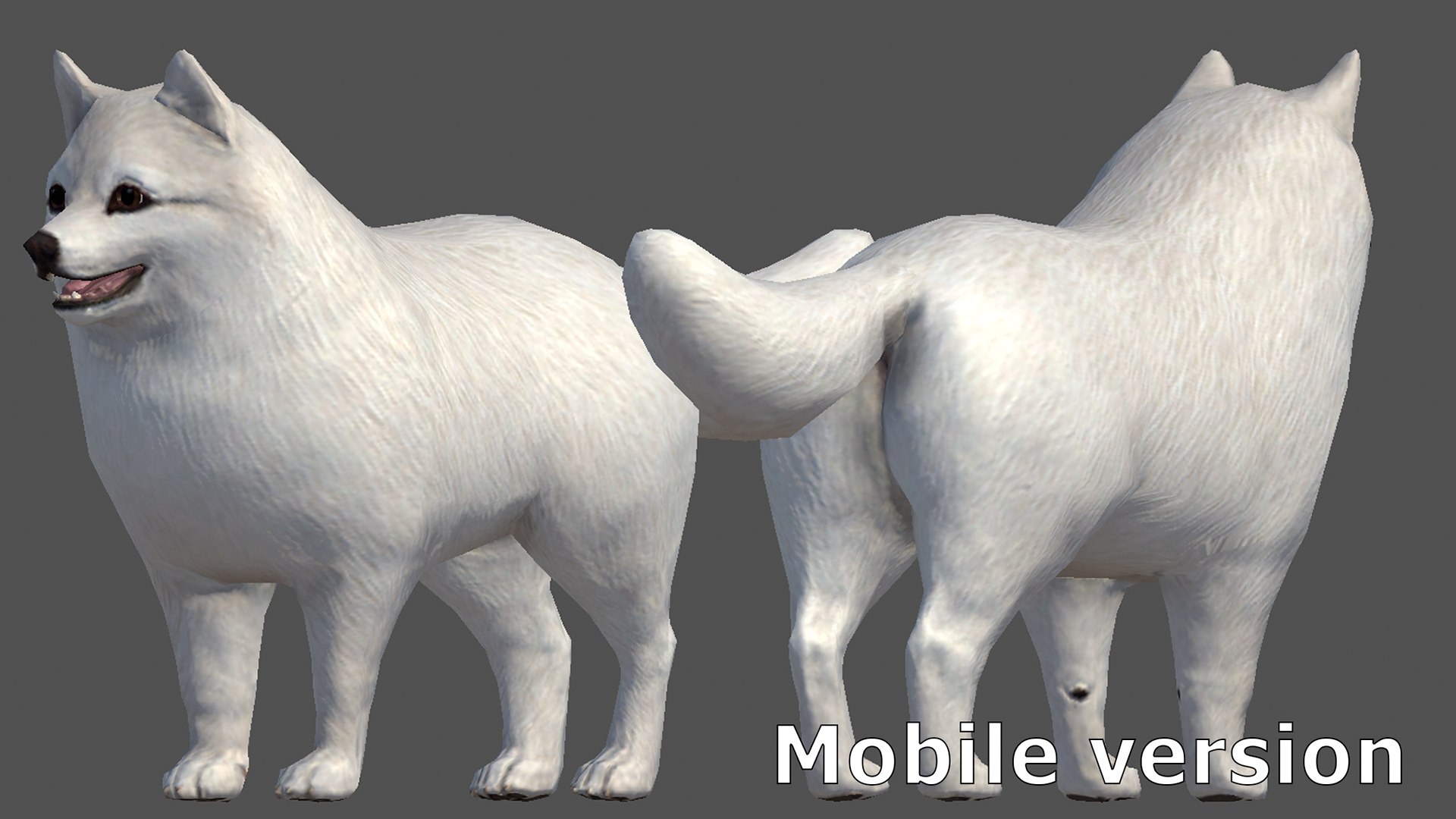 3D Dog - Spitz - TurboSquid 1895248