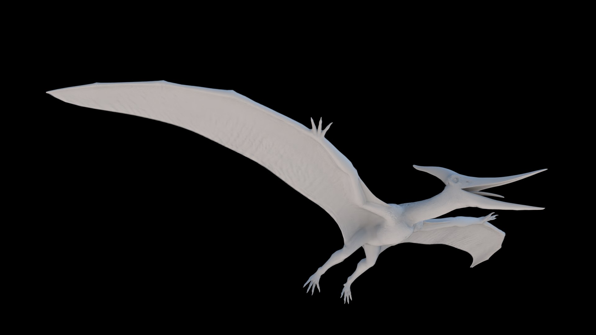 3d Model Pteranodon Turbosquid 2074427