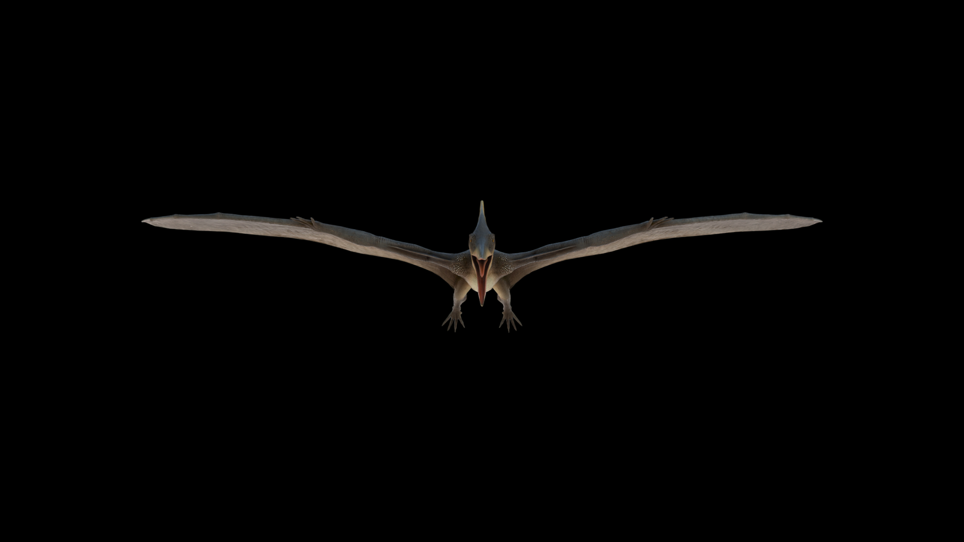 3d Model Pteranodon Turbosquid 2074427