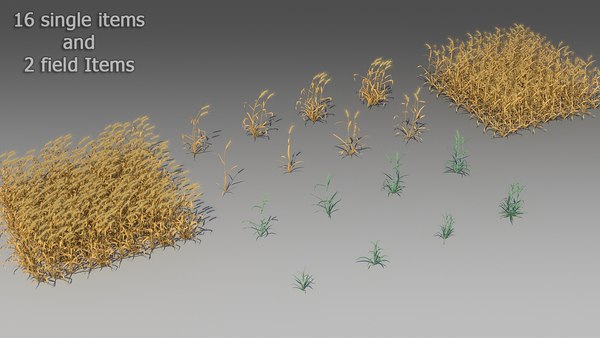 3D Wheat Models | TurboSquid