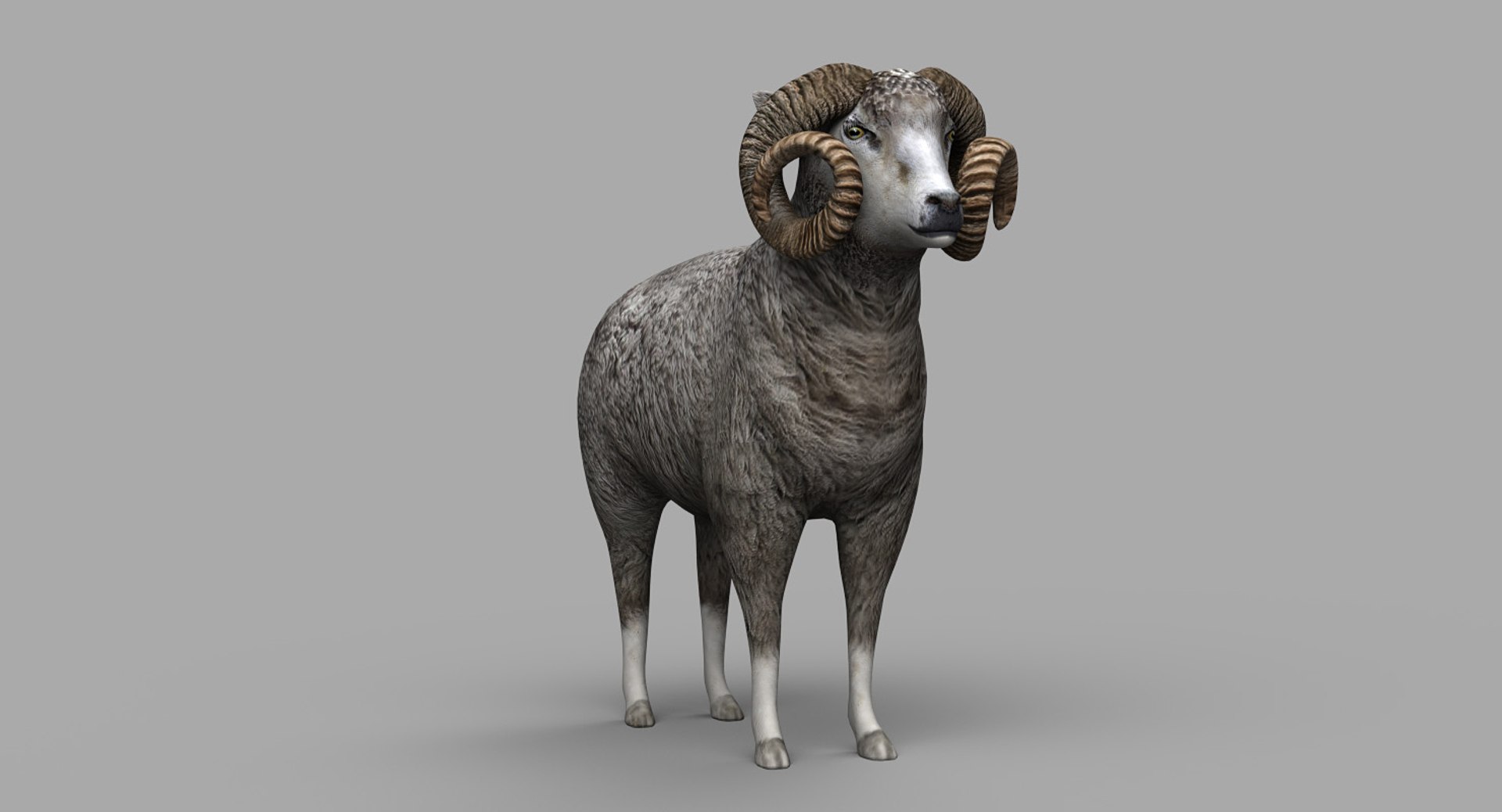 3d Ram Model