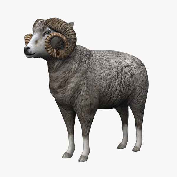 Big Horned Ram 3D Models for Download | TurboSquid