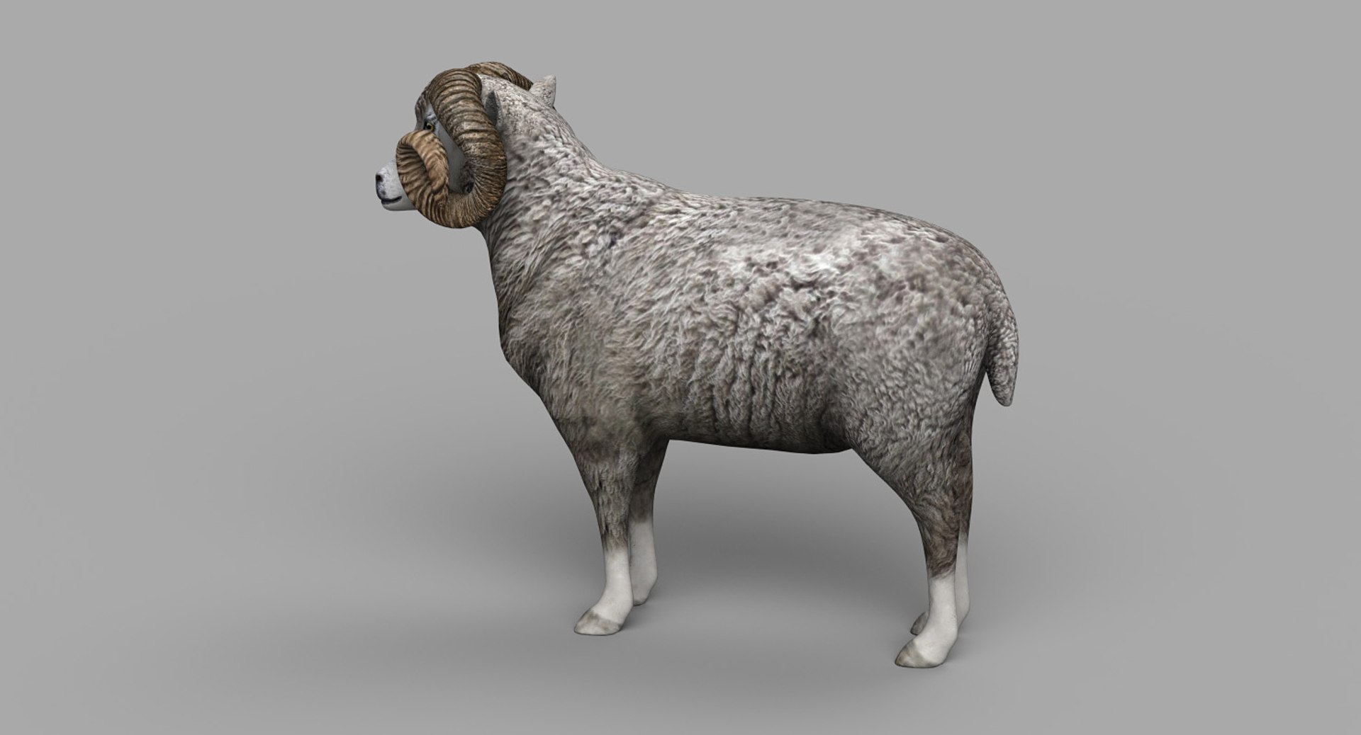 3d Ram Model