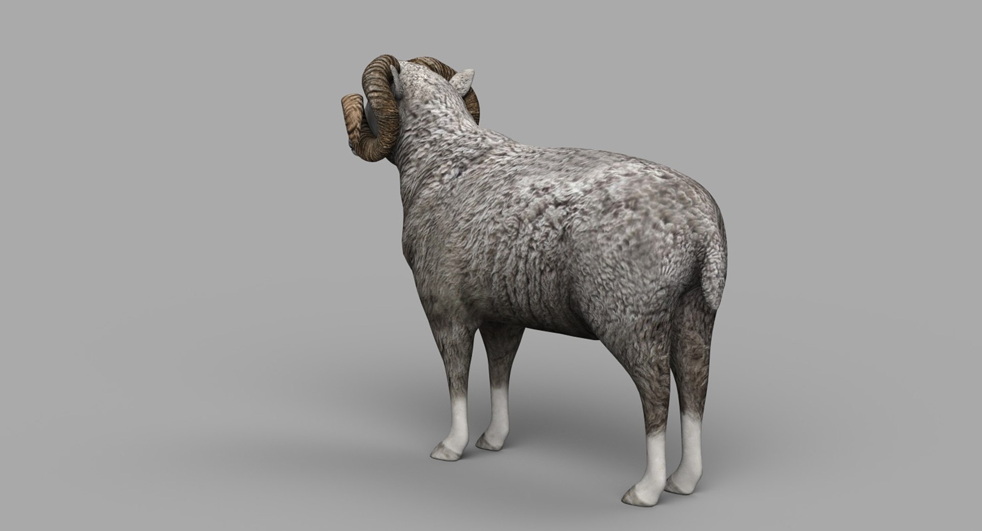 3d Ram Model