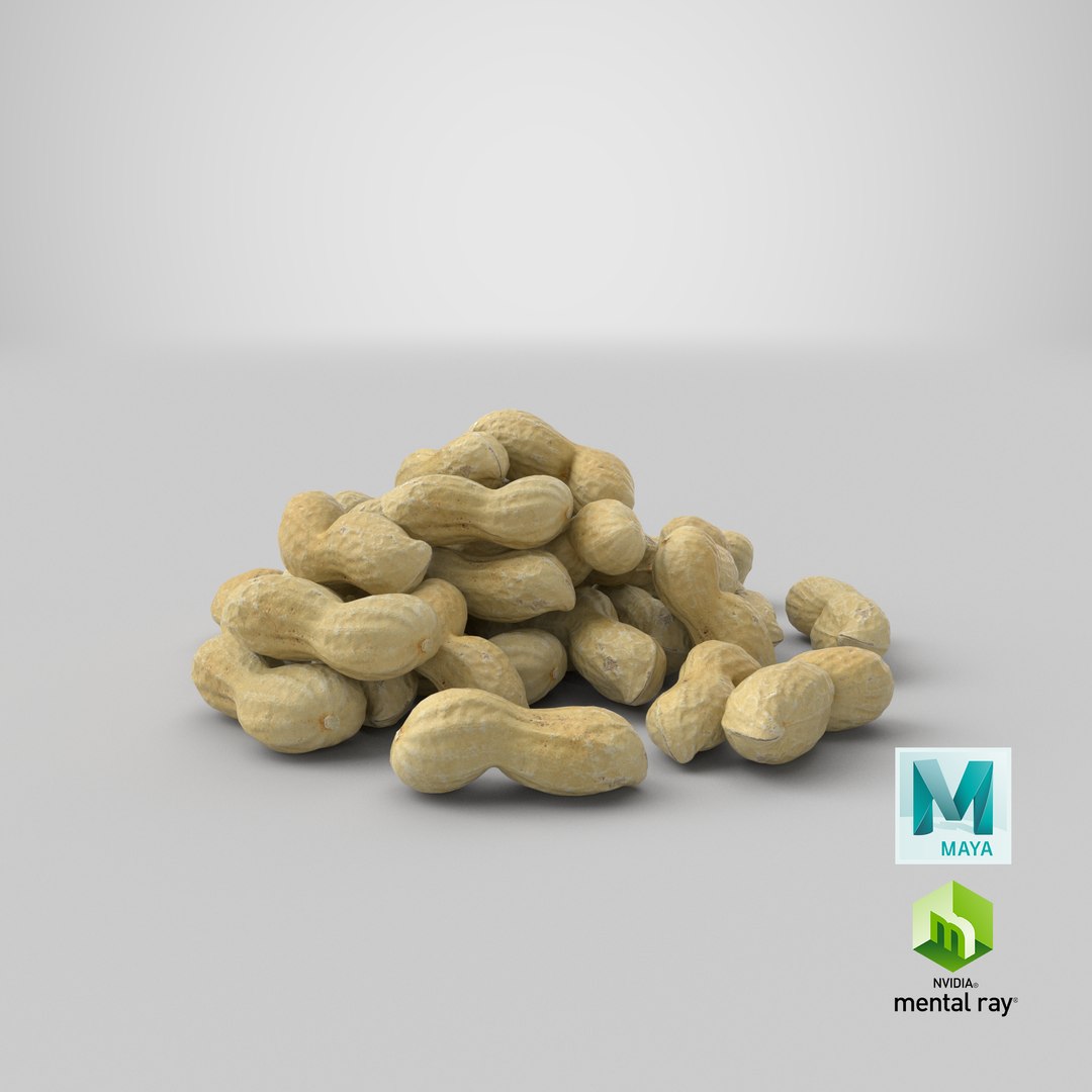 Pile of Peanuts 3D model - TurboSquid 1977200