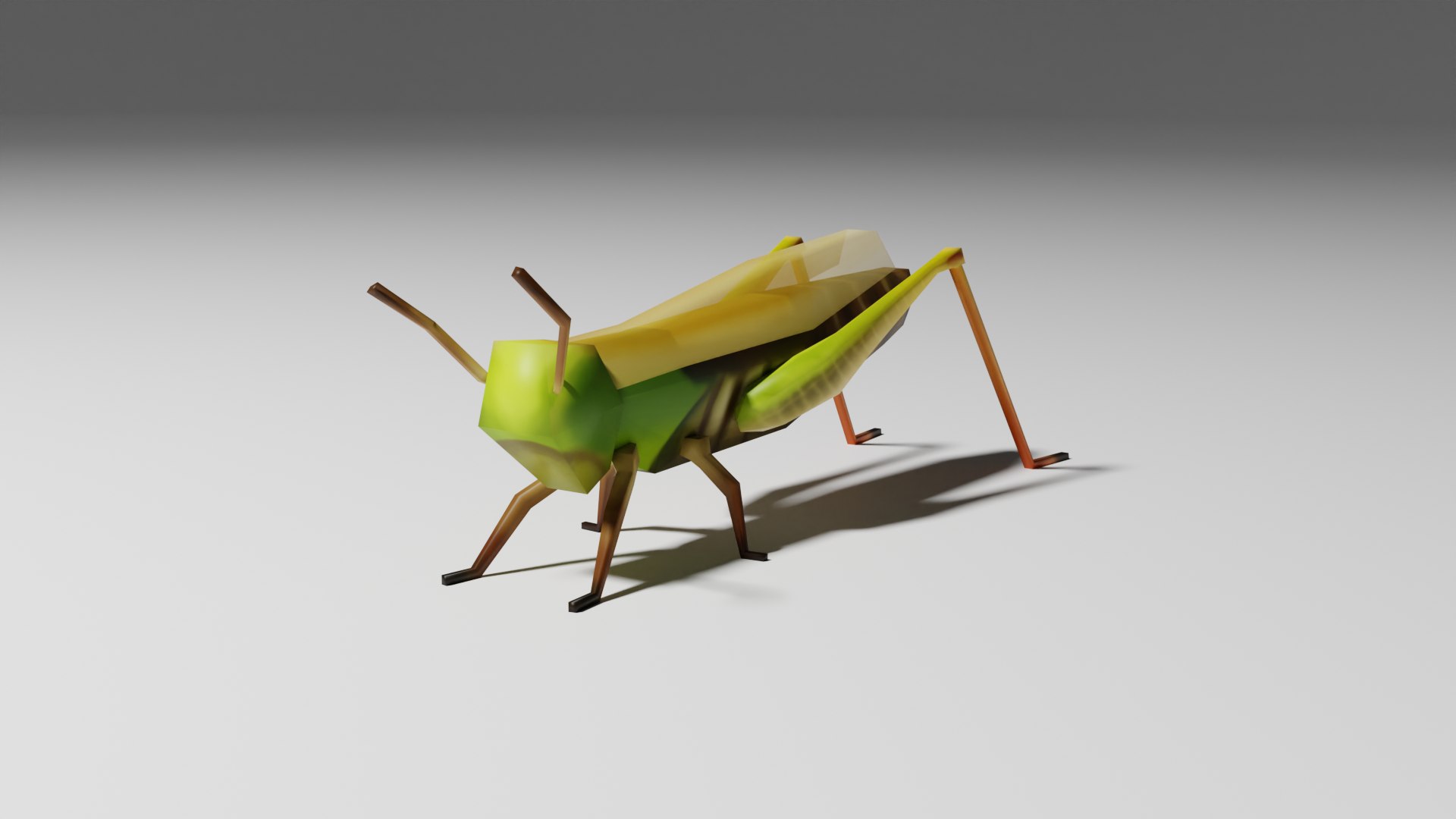 3D Insects Pack - Low Poly Model - TurboSquid 1846211